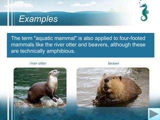 WATER AND SCIENCE | PPTX