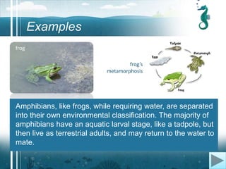 WATER AND SCIENCE | PPT