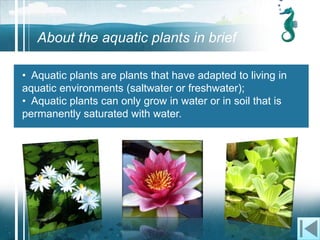 WATER AND SCIENCE | PPTX