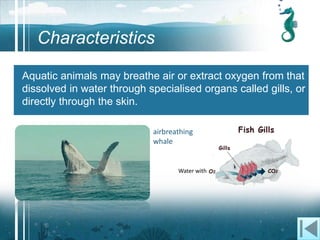 WATER AND SCIENCE | PPT