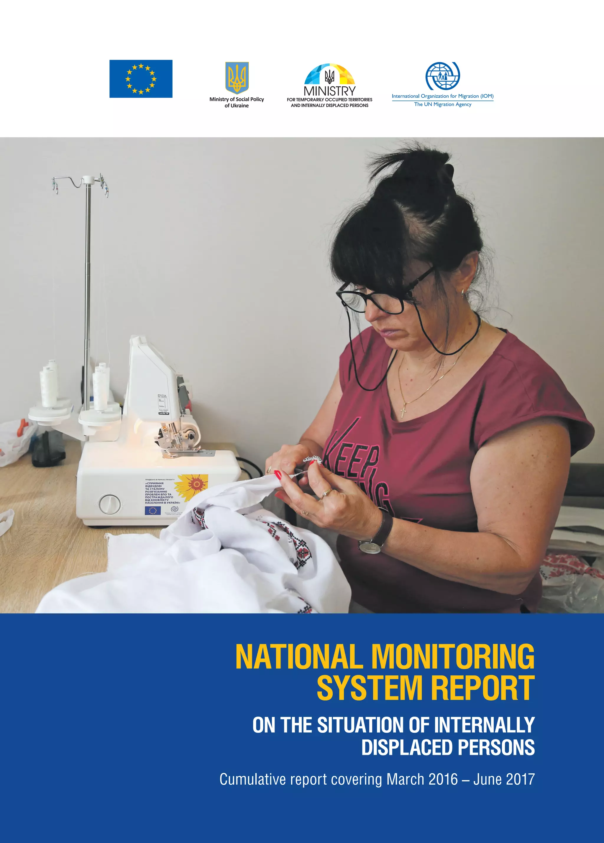 National monitoring system of the situation with internally displaced ...