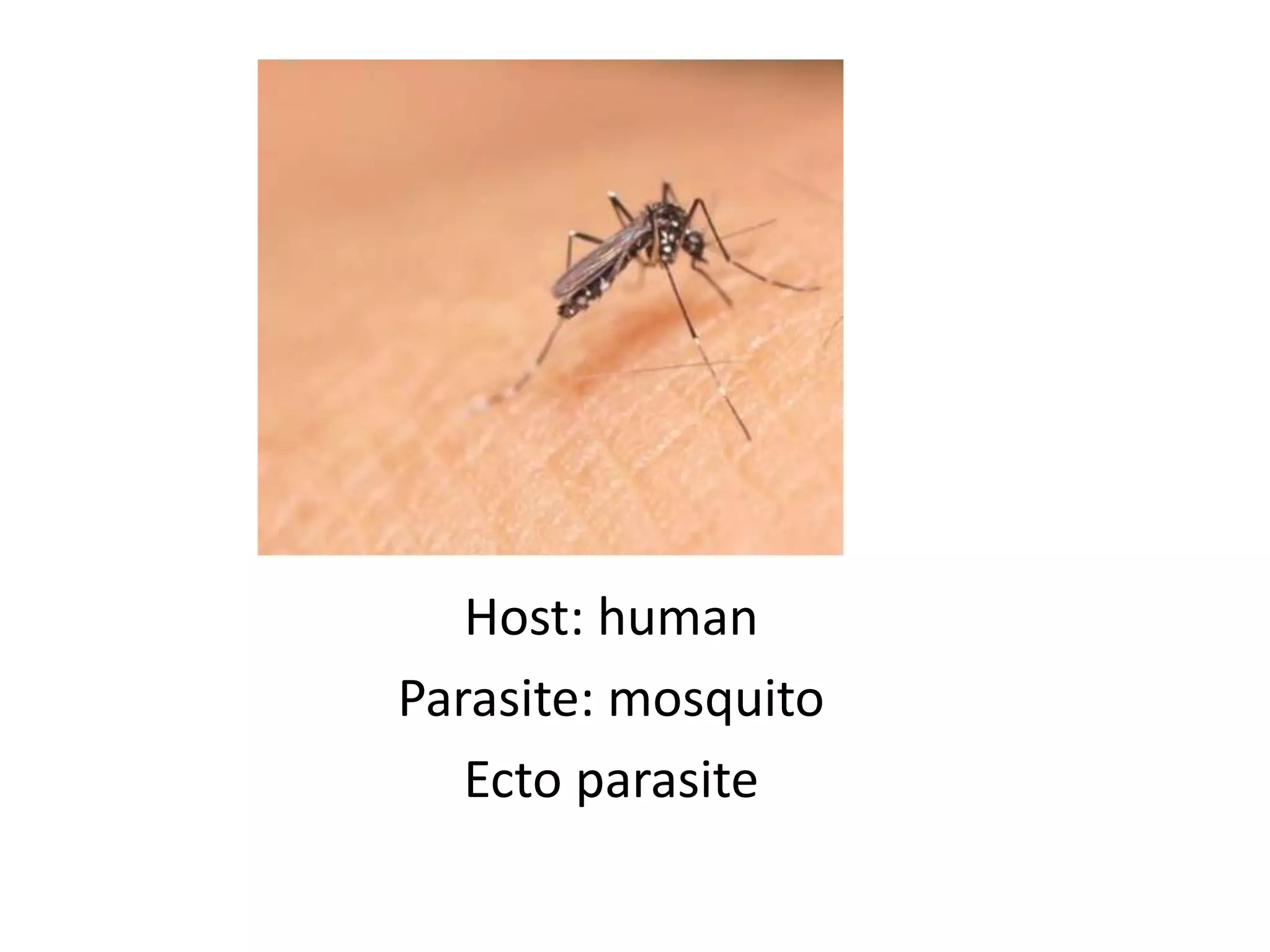 host parasite relationship | PPTX