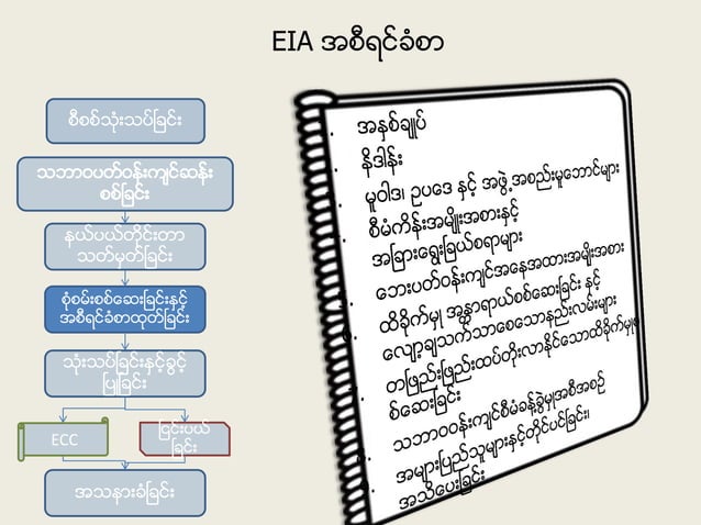 1. Key EIA Principles | PPT