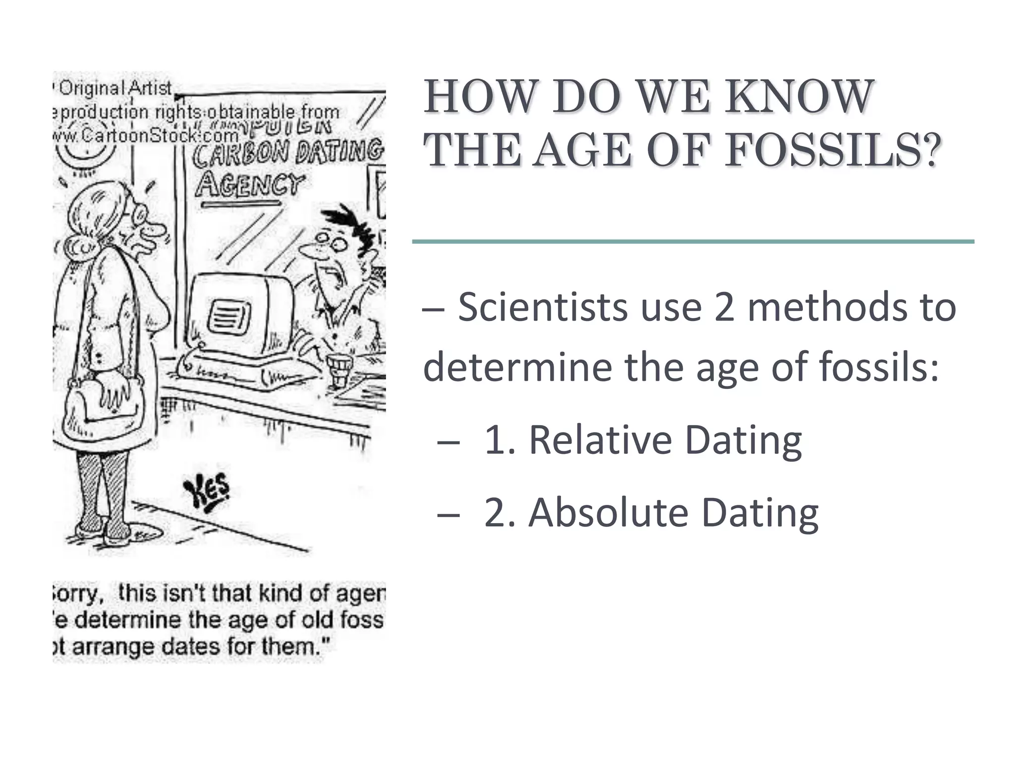 Evidence from fossil records GRADE10 | PPTX