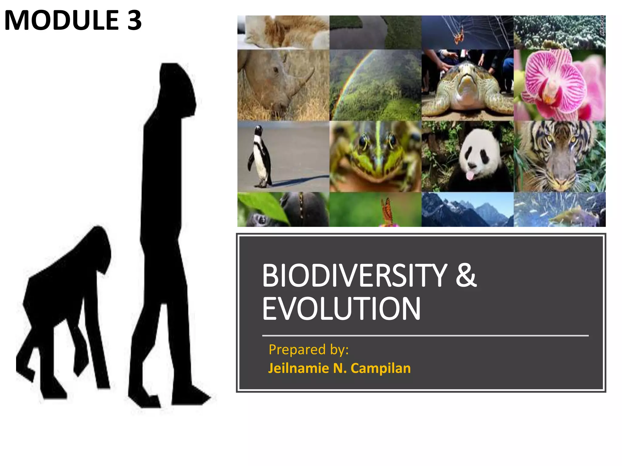 Evidence from fossil records GRADE10 | PPTX