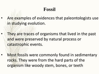 Evidence from fossil records GRADE10 | PPTX