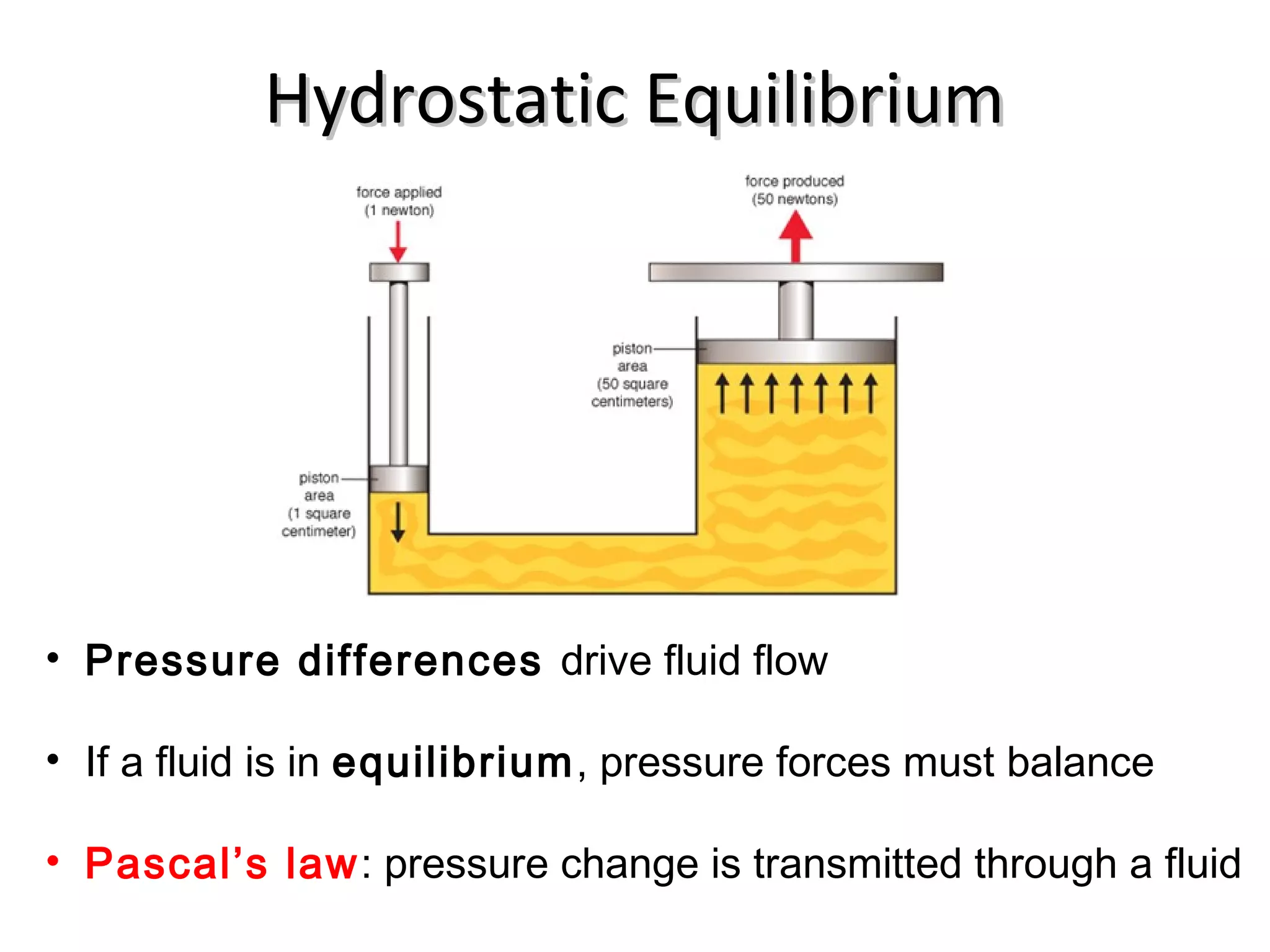 Fluid Mechanics - 203PHYS | PPT