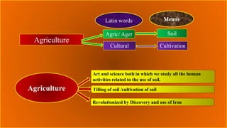 History of agriculture | PDF