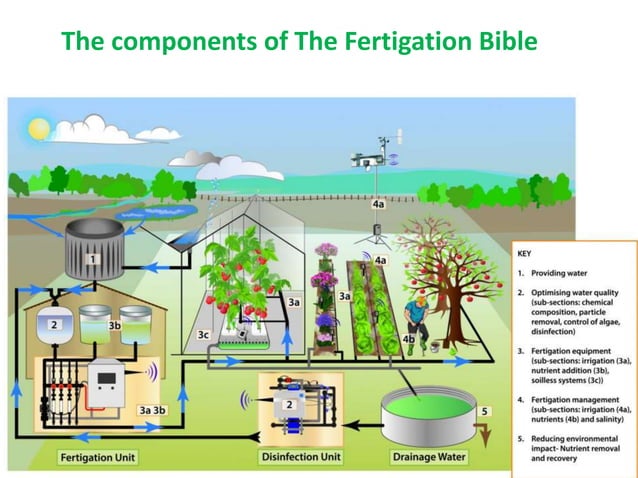 The Fertigation bible | PPT