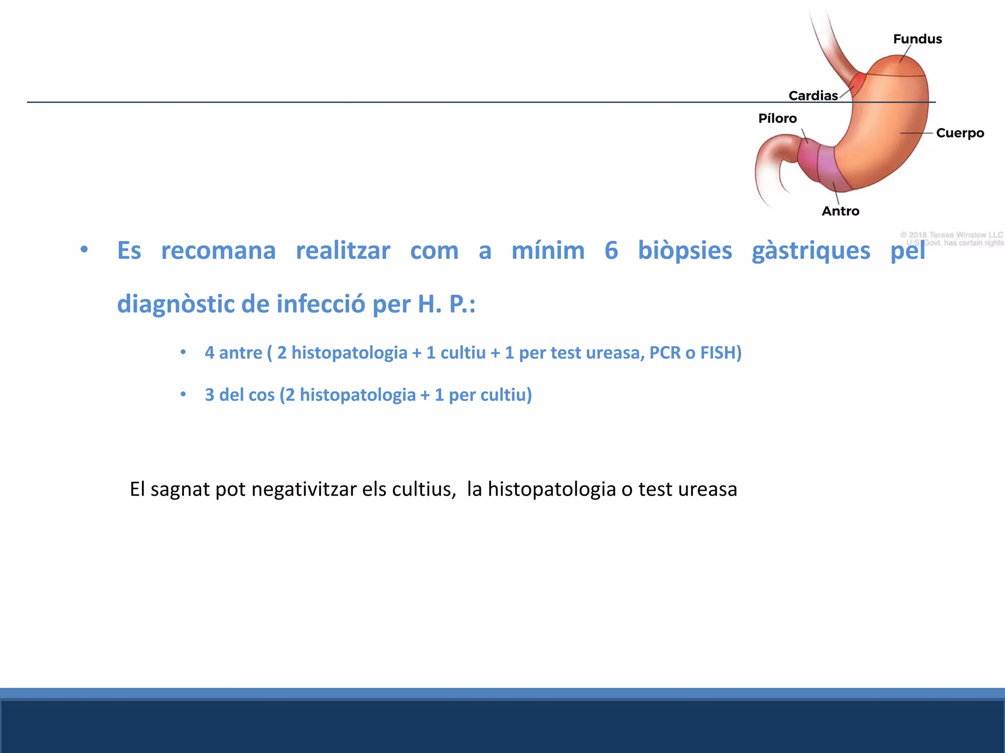 Helicobacter pylori en pediatria. 2019 | PPT