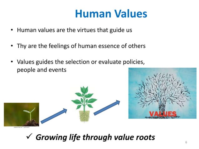 professional ethics and human values | PPTX | Education