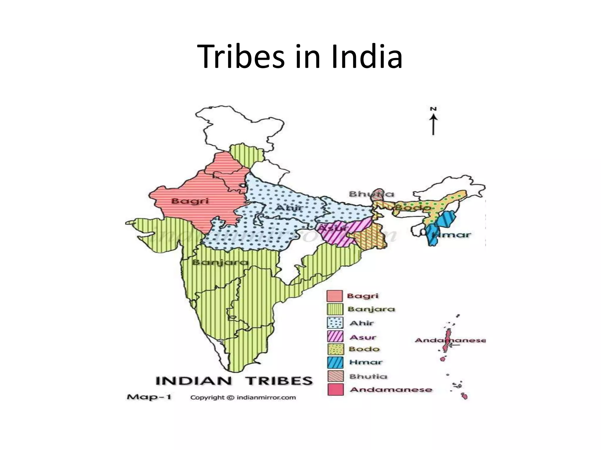 1.4 tribal development in india | PPTX