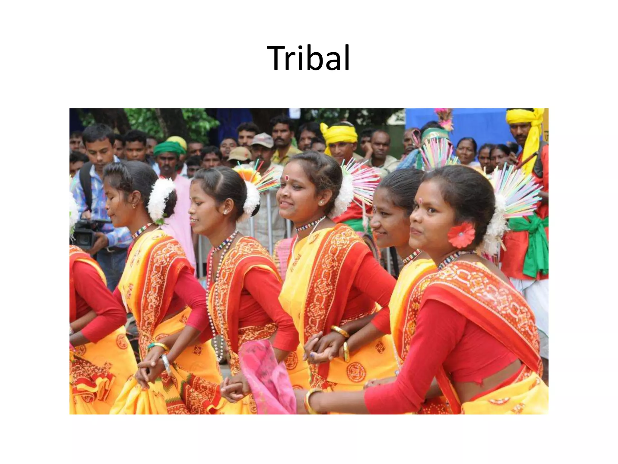 1.4 tribal development in india | PPTX