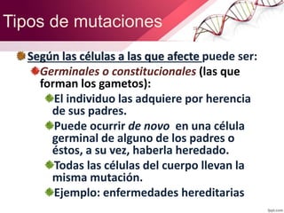 Tema 12 Genética y evolución: mutaciones | PPTX
