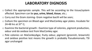 1. presentation on advanced bacteriology genus pseudomonas | PPT