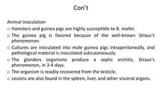 1. presentation on advanced bacteriology genus pseudomonas | PPTX