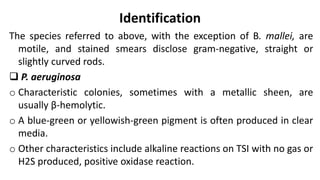 1. presentation on advanced bacteriology genus pseudomonas | PPT
