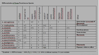 1. presentation on advanced bacteriology genus pseudomonas | PPT