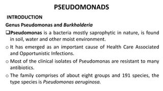 1. presentation on advanced bacteriology genus pseudomonas | PPT