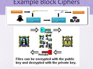 Block Ciphers and the Data Encryption Standard | PDF