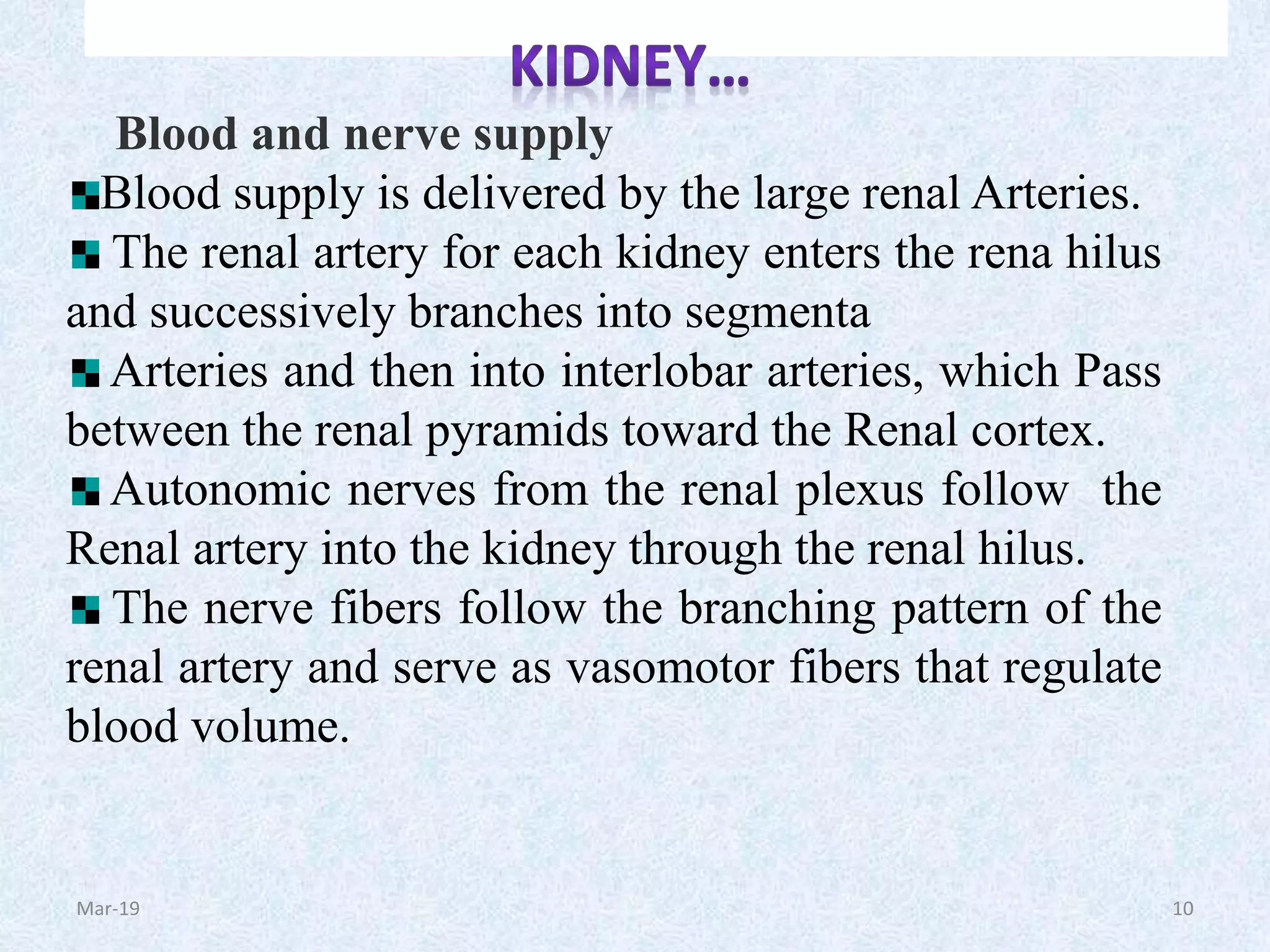 genito urinary disorders medical surgical ii | PPTX