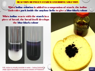 The Nature of Carbohydrates | PPT | Chemistry | Science