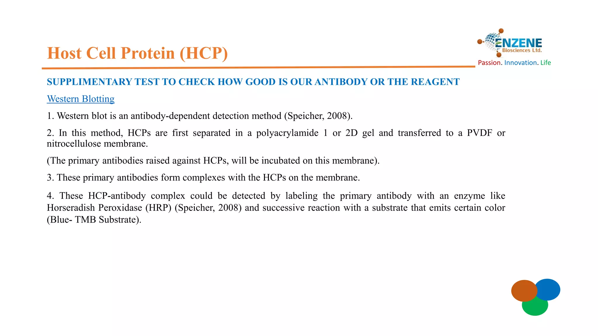 Host Cell Proteins | PDF