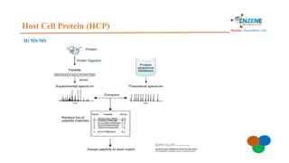 Host Cell Proteins | PDF