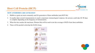 Host Cell Proteins | PDF