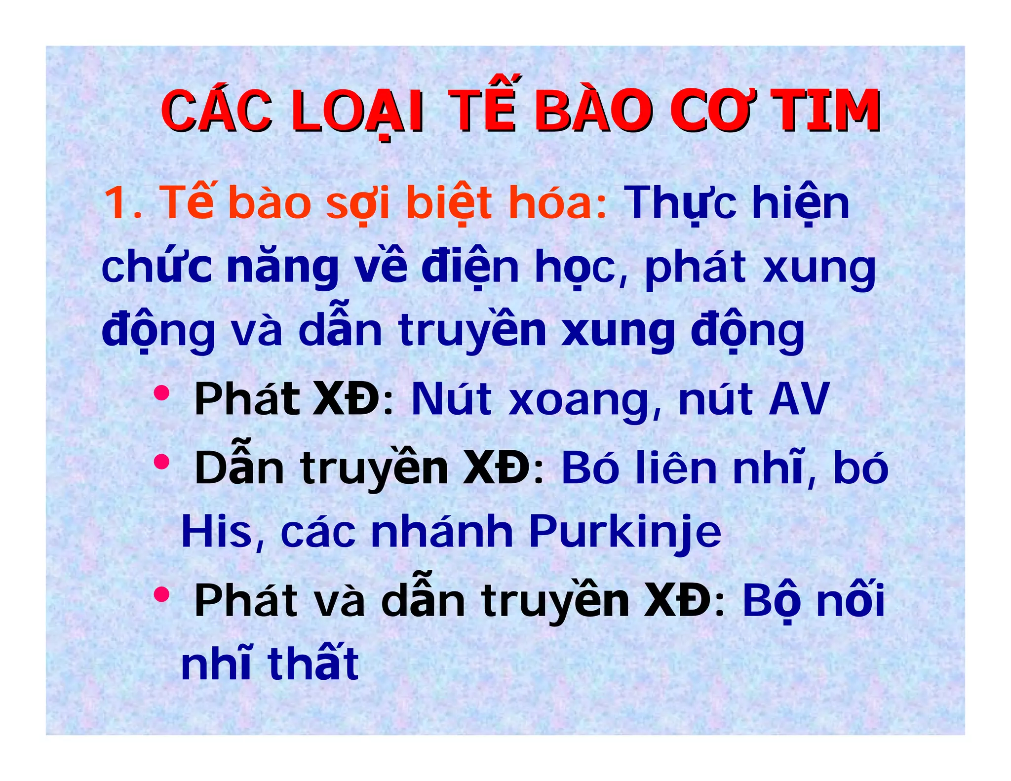 1. dai cuong ve ecg | PDF