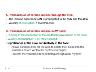 1. cardiac properties (dental) | PPTX