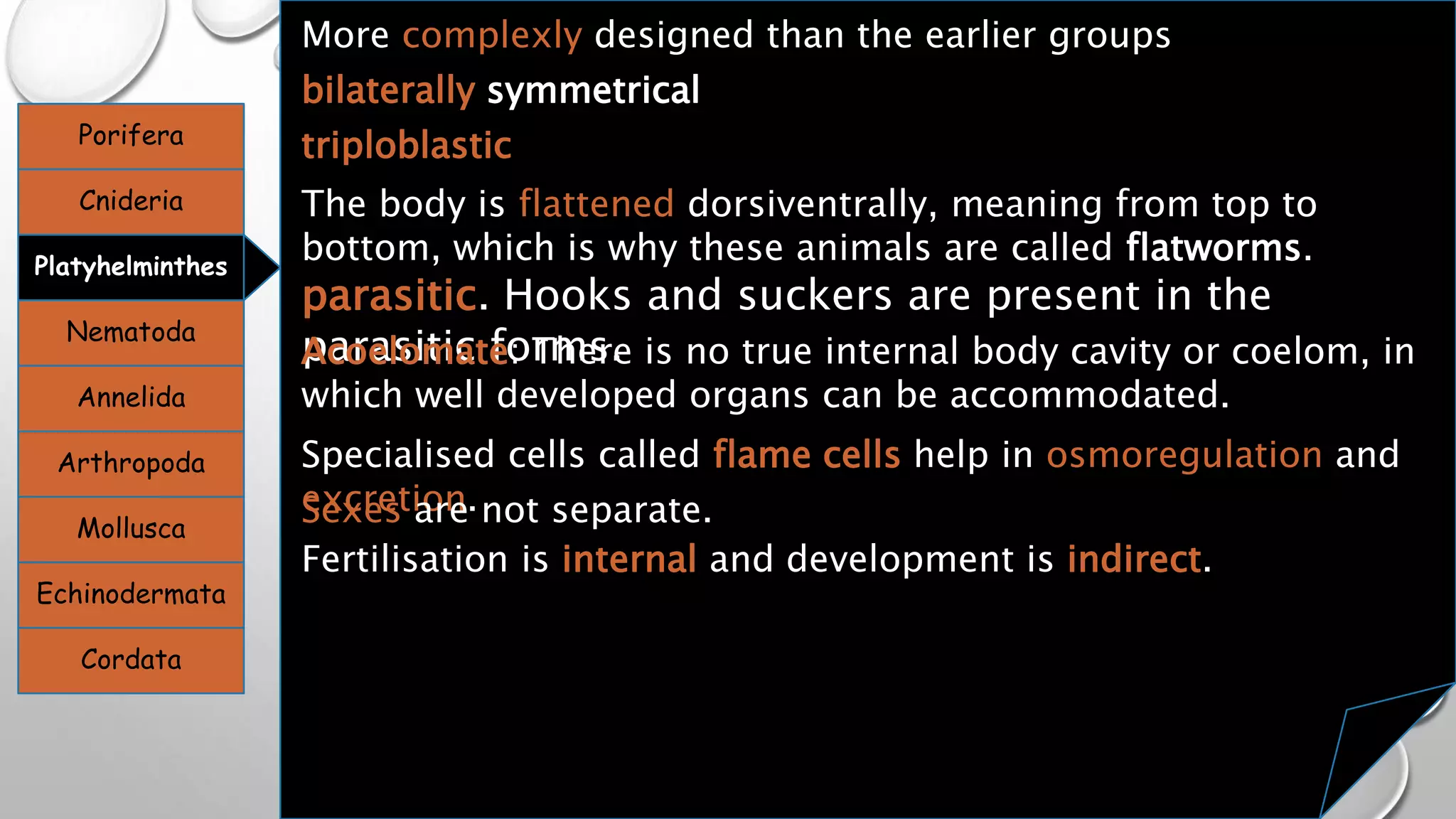 Classification of kingdom | PPTX