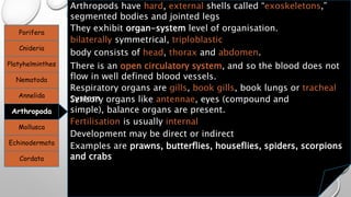 Classification of kingdom | PPT