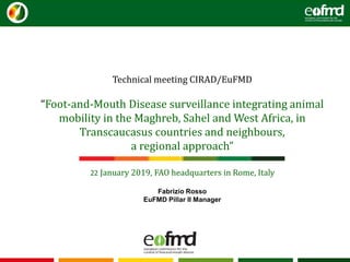 Opening for the technical workshop EuFMD with CIRAD | PPT
