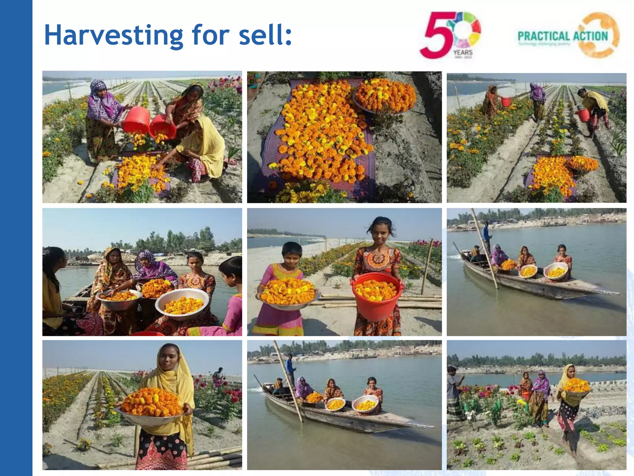 1. pumpkin against poverty: A Climate Smart Food Production Model for ...