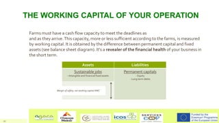 Financial Deepening level - Basic Farm Management - LeadFarm Project | PPTX