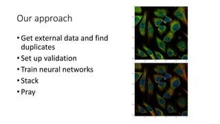 Dmytro Panchenko "Cracking Kaggle: Human Protein Atlas" | PPT