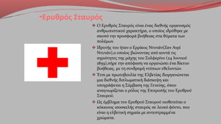 Ο σταυρός και τα είδη του,Θωμαΐς | PPTX