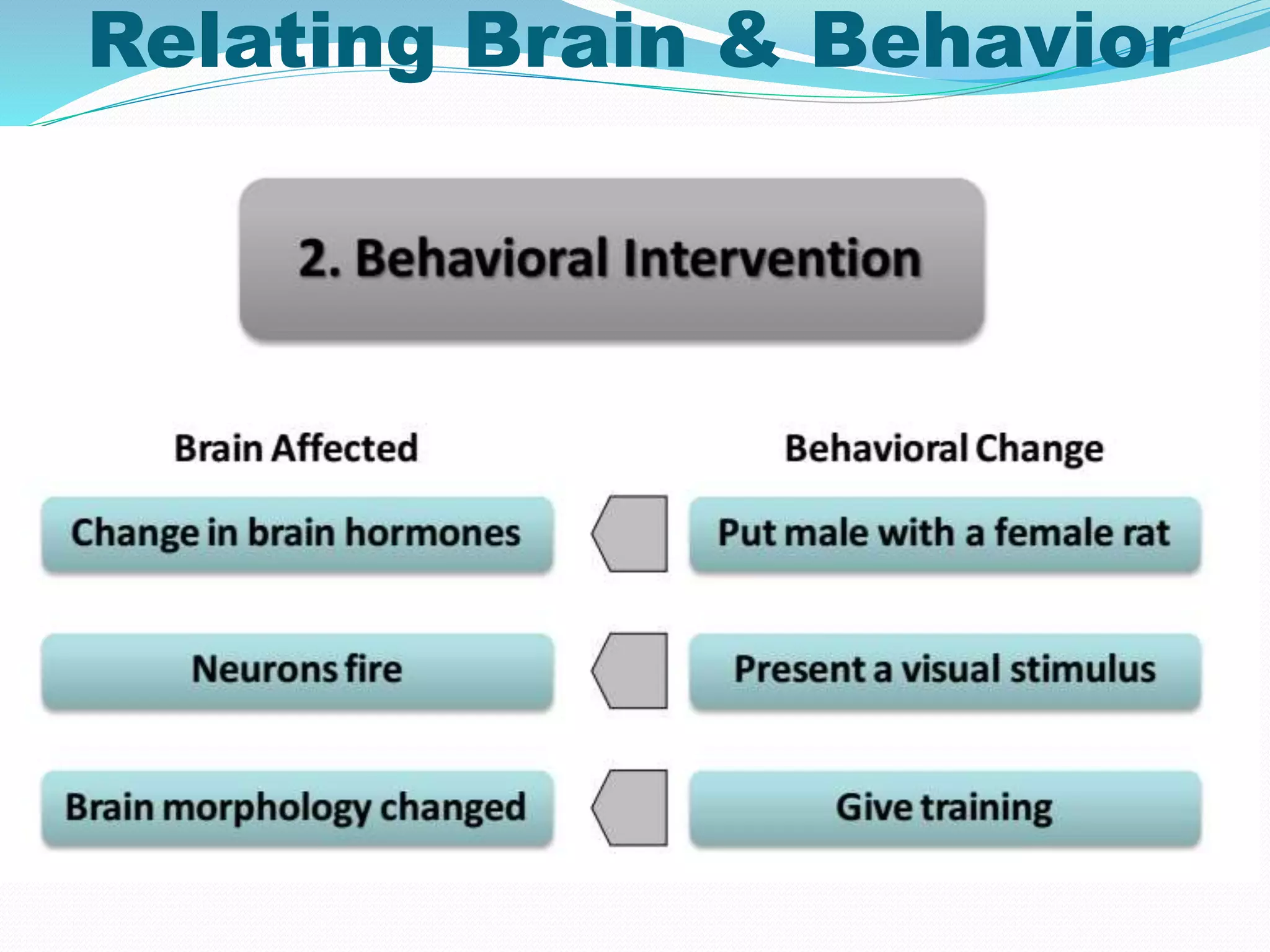 Physiological psychology | PPTX