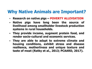 Production Performance and Management Practices of Philippine Native ...