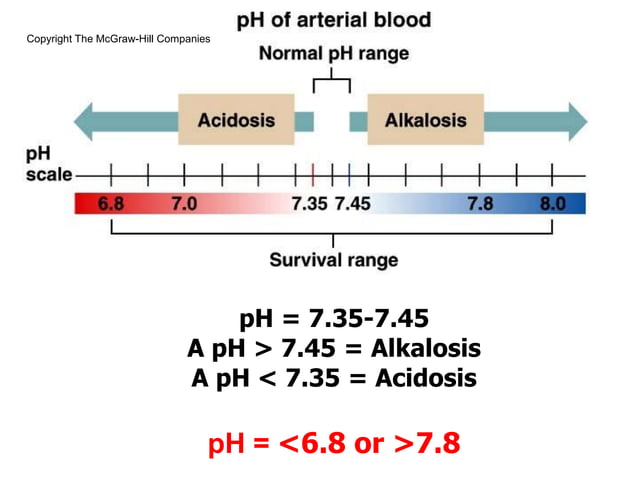 Principles of Acid-Base Imbalance | PPT