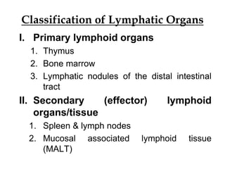 Histology of the Lymphatic System | PPTX