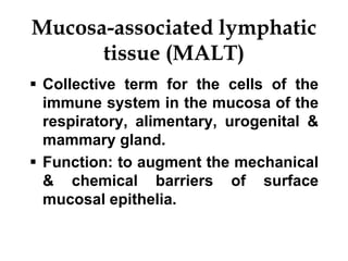 Mucosa Associated Lymphoid Tissue