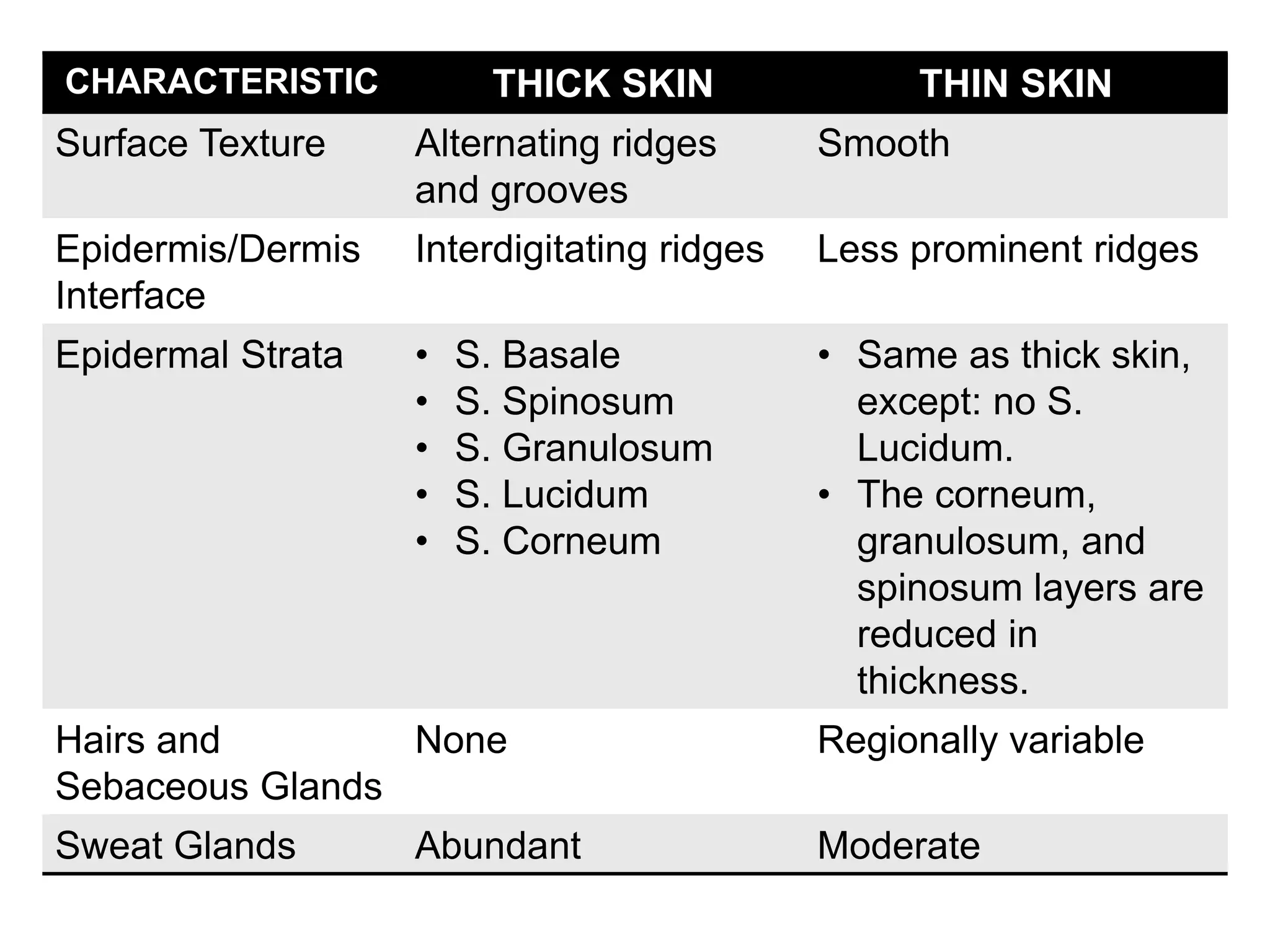 Histology of the Integument | PPTX
