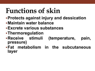 Histology of the Integument | PPTX