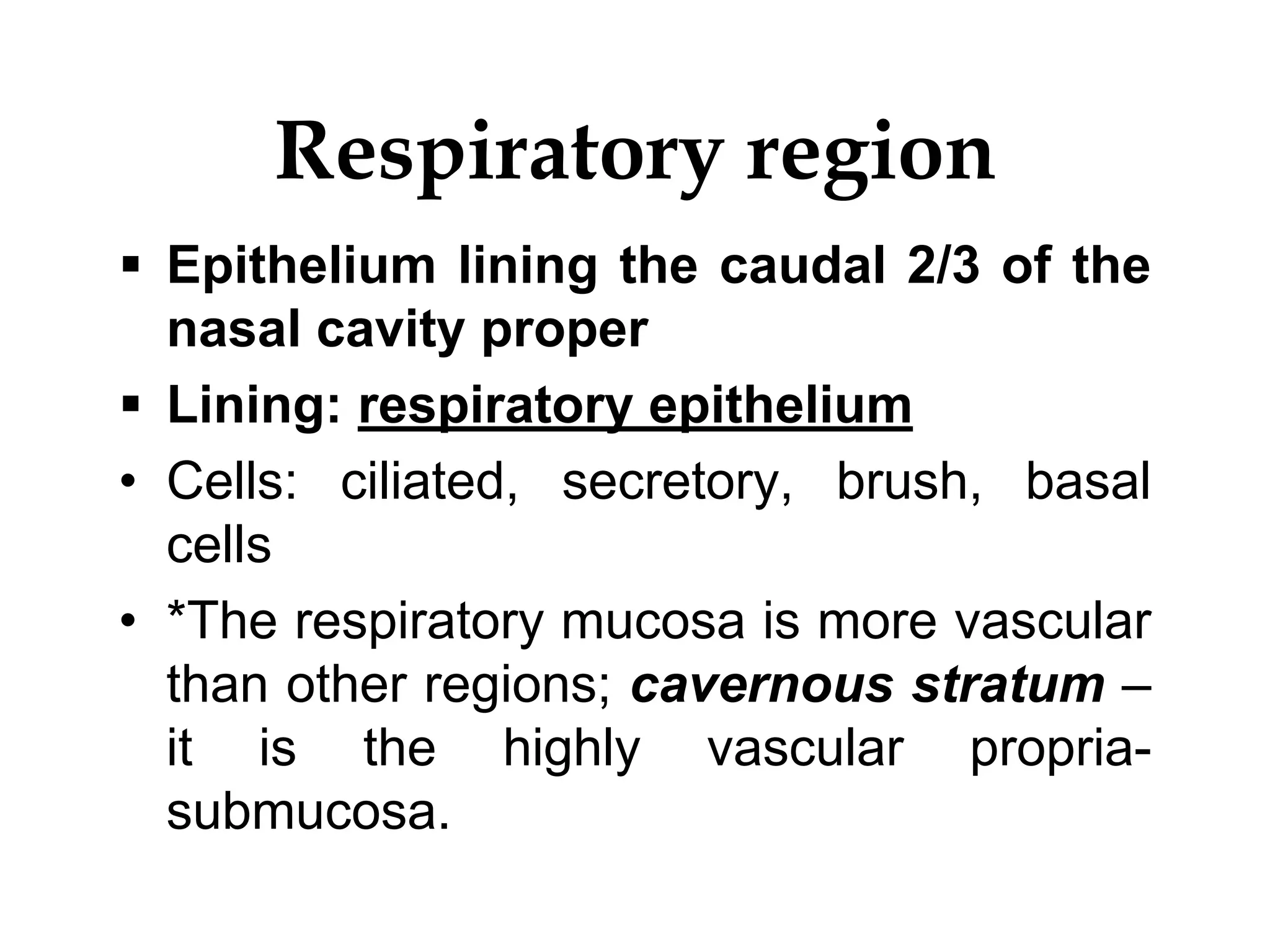 Histology of the Respiratory System | PPTX
