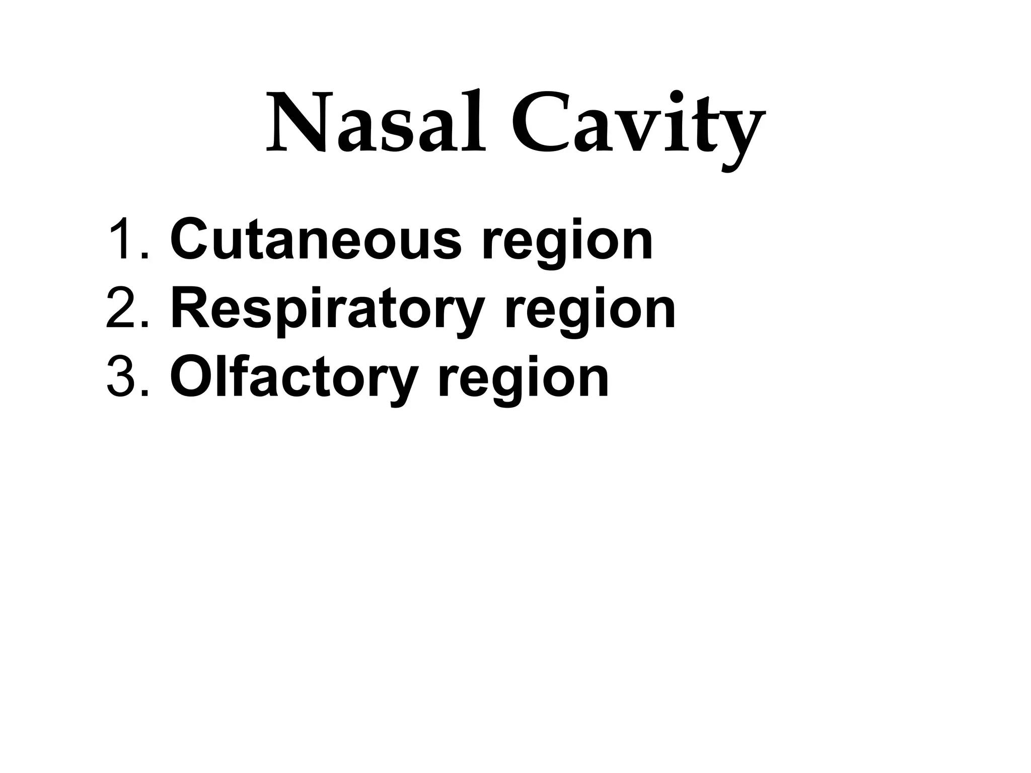 Histology of the Respiratory System | PPTX