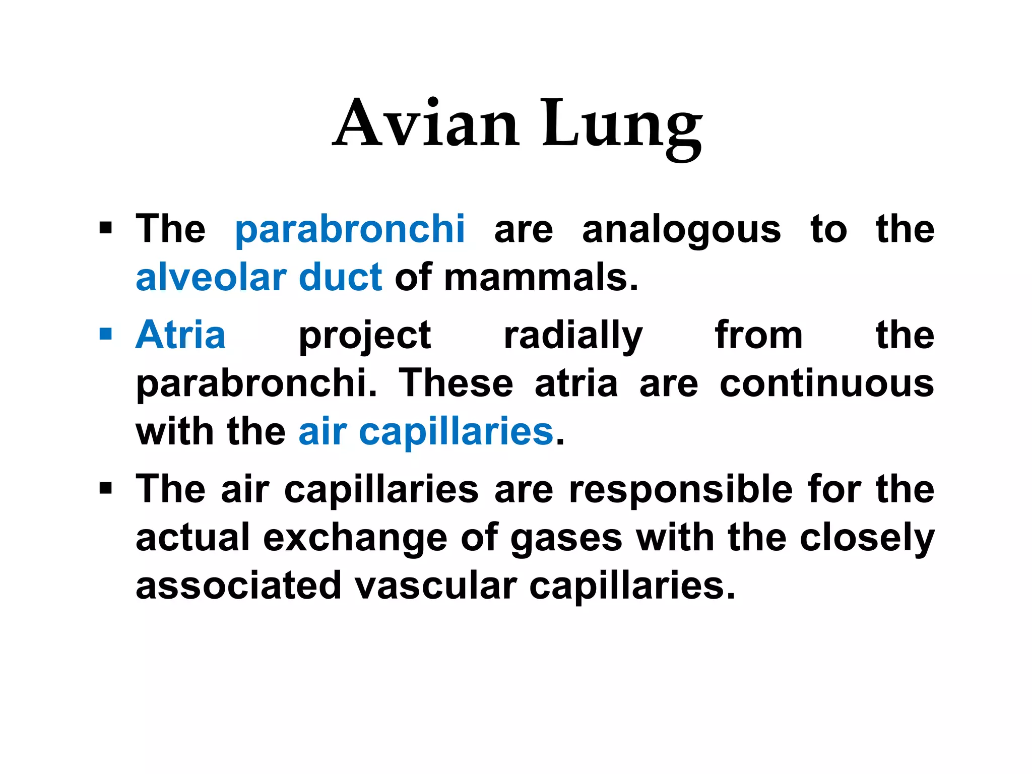 Histology of the Respiratory System | PPTX