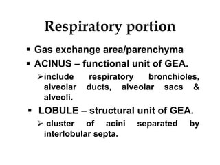 Histology of the Respiratory System | PPTX
