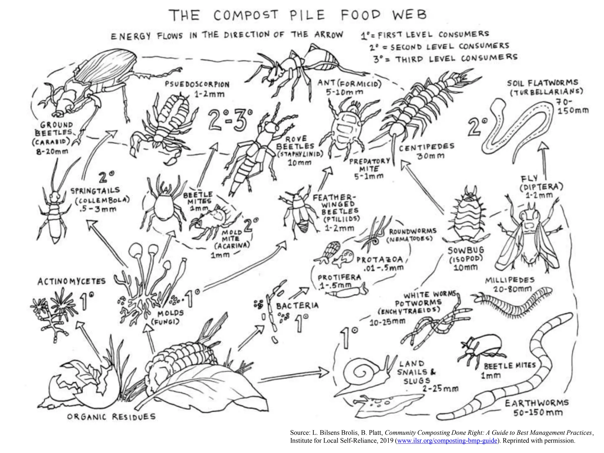 Community Composting Done Right: A Guide to Best Management Practices | PPT